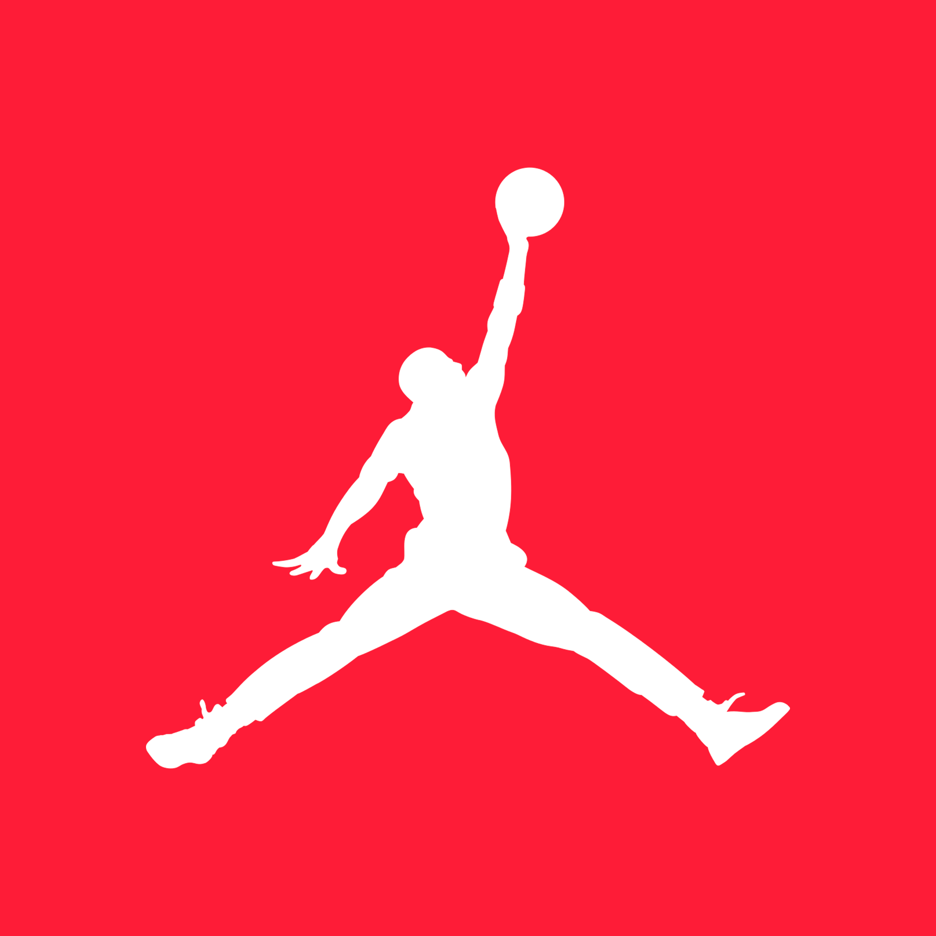 JORDAN – Sneaker Haven
